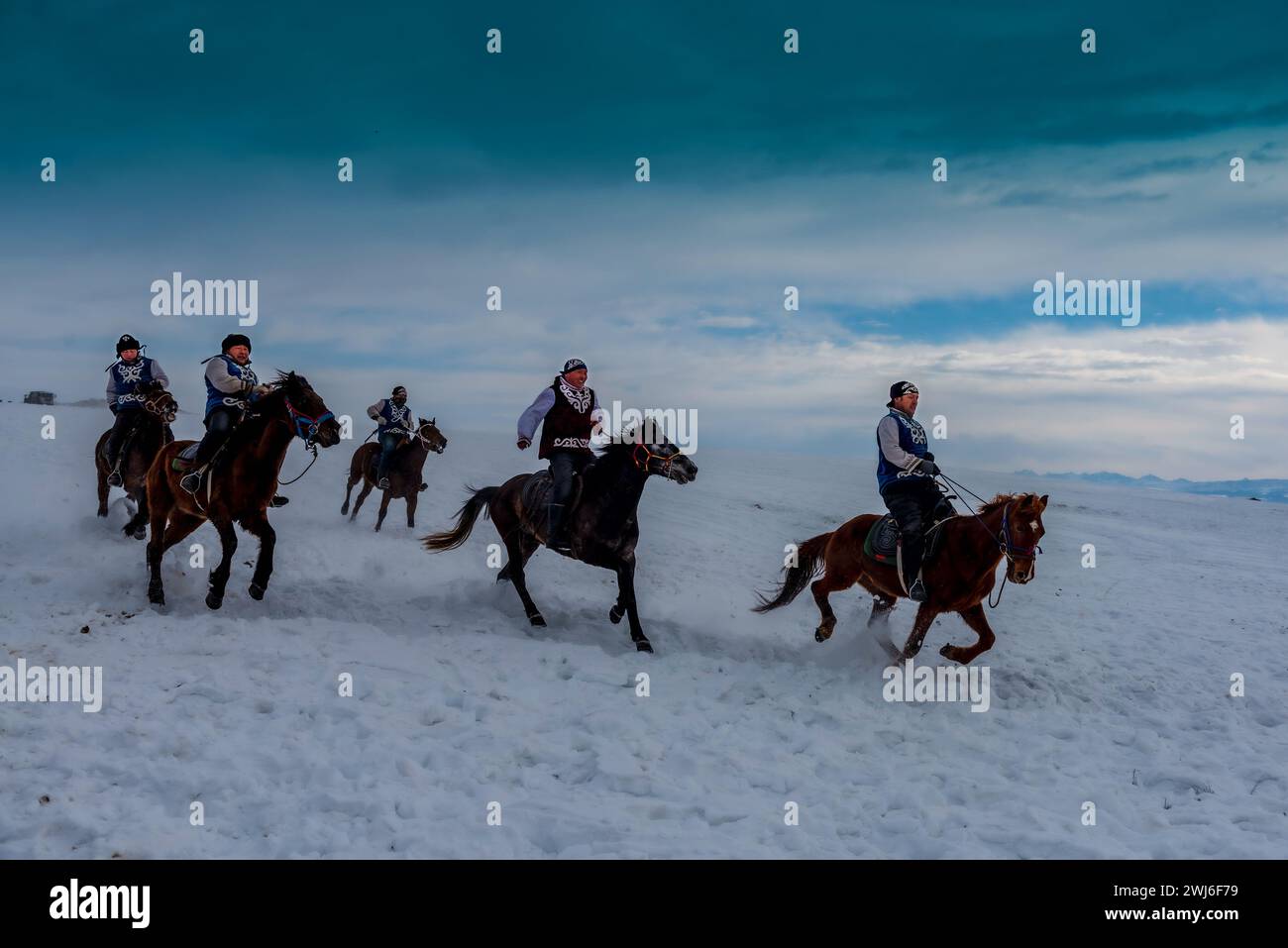 YILI, CHINA - FEBRUARY 13, 2024 - Herdsmen herd heavenly horse on the ...