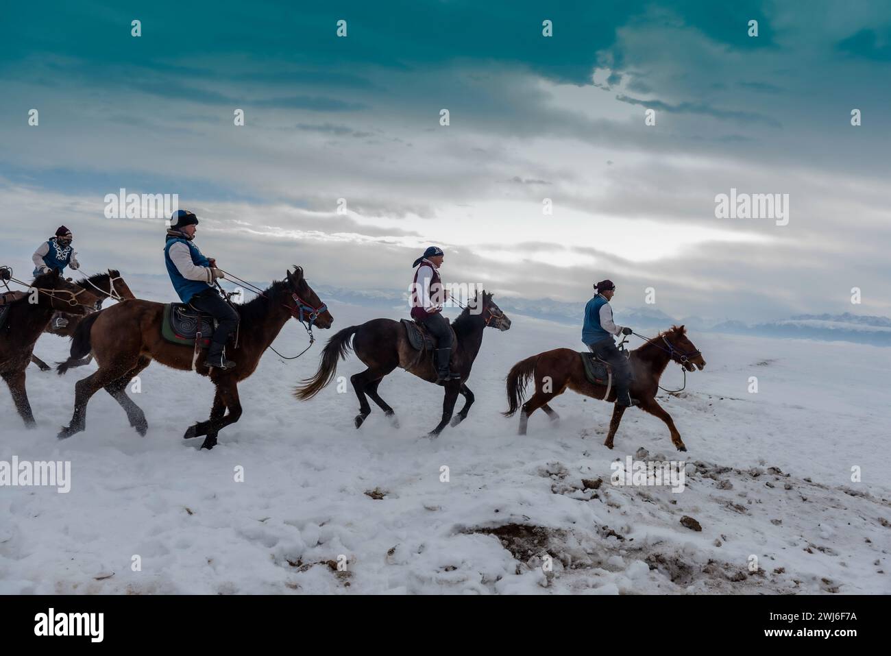 Yili horse hi-res stock photography and images - Alamy