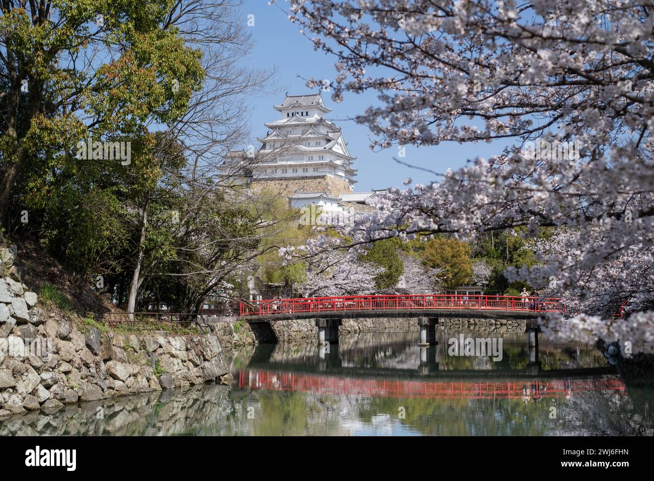 Himeji Castle viewed over the moat, with the Shiromi Bridge and cherry ...