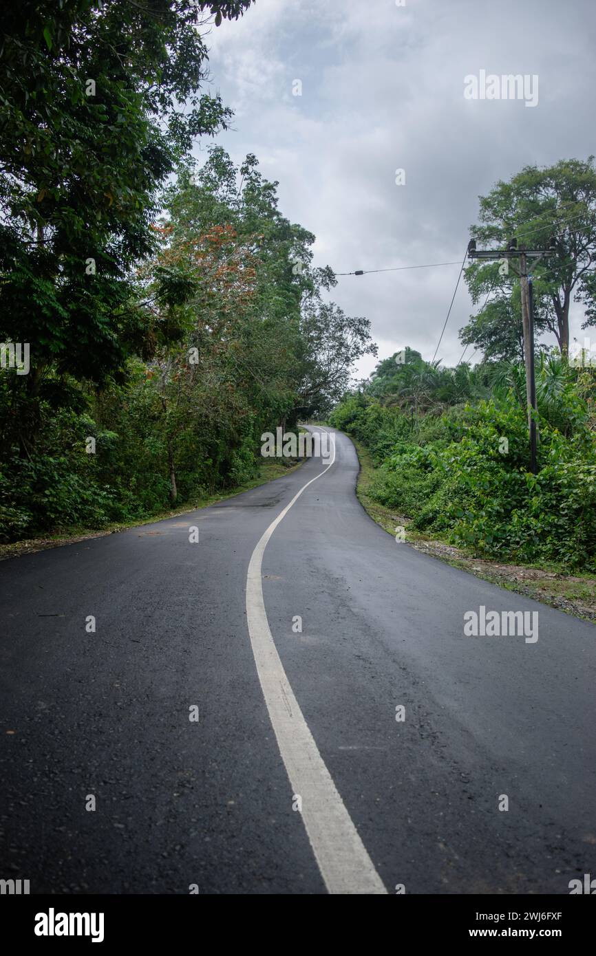 The asphalt road is quiet with trees around it, the road looks very ...