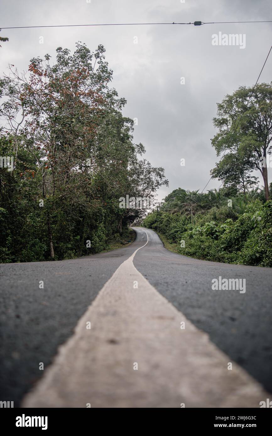 Good street trees in countryside hi-res stock photography and images ...