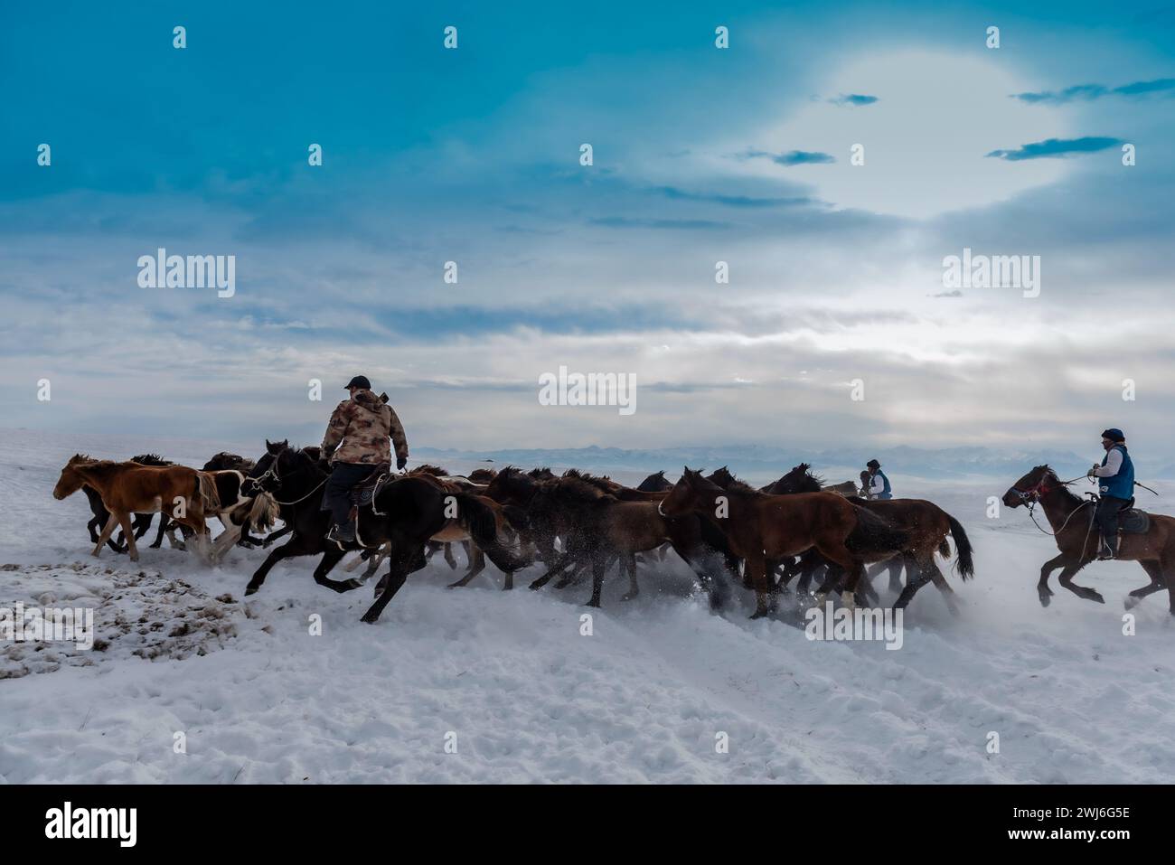 Yili, China. 13th Feb, 2024. YILI, CHINA - FEBRUARY 13, 2024 - Herdsmen ...