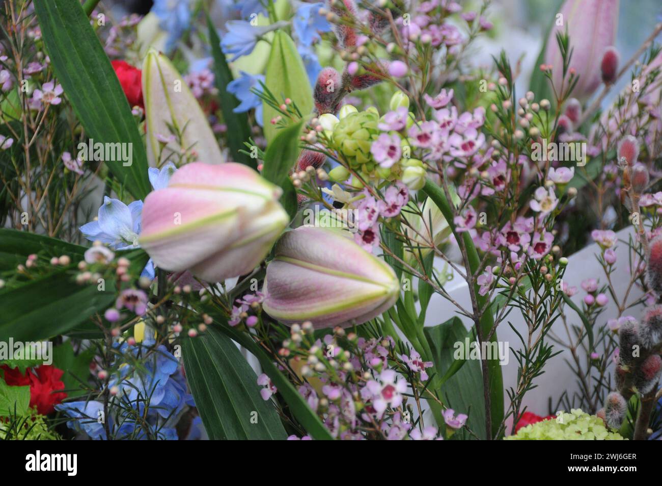 Copenhagen, Denmark /13 February 2024/Flower bouquesrs for sale in ...