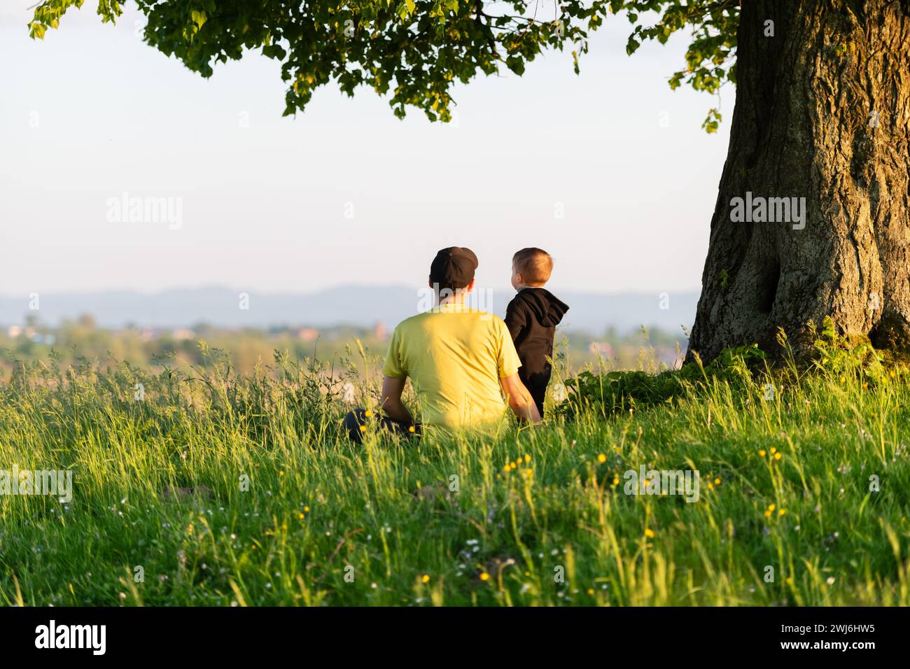 Dad with son in the spring meadow sitting under the tree in tall grass ...