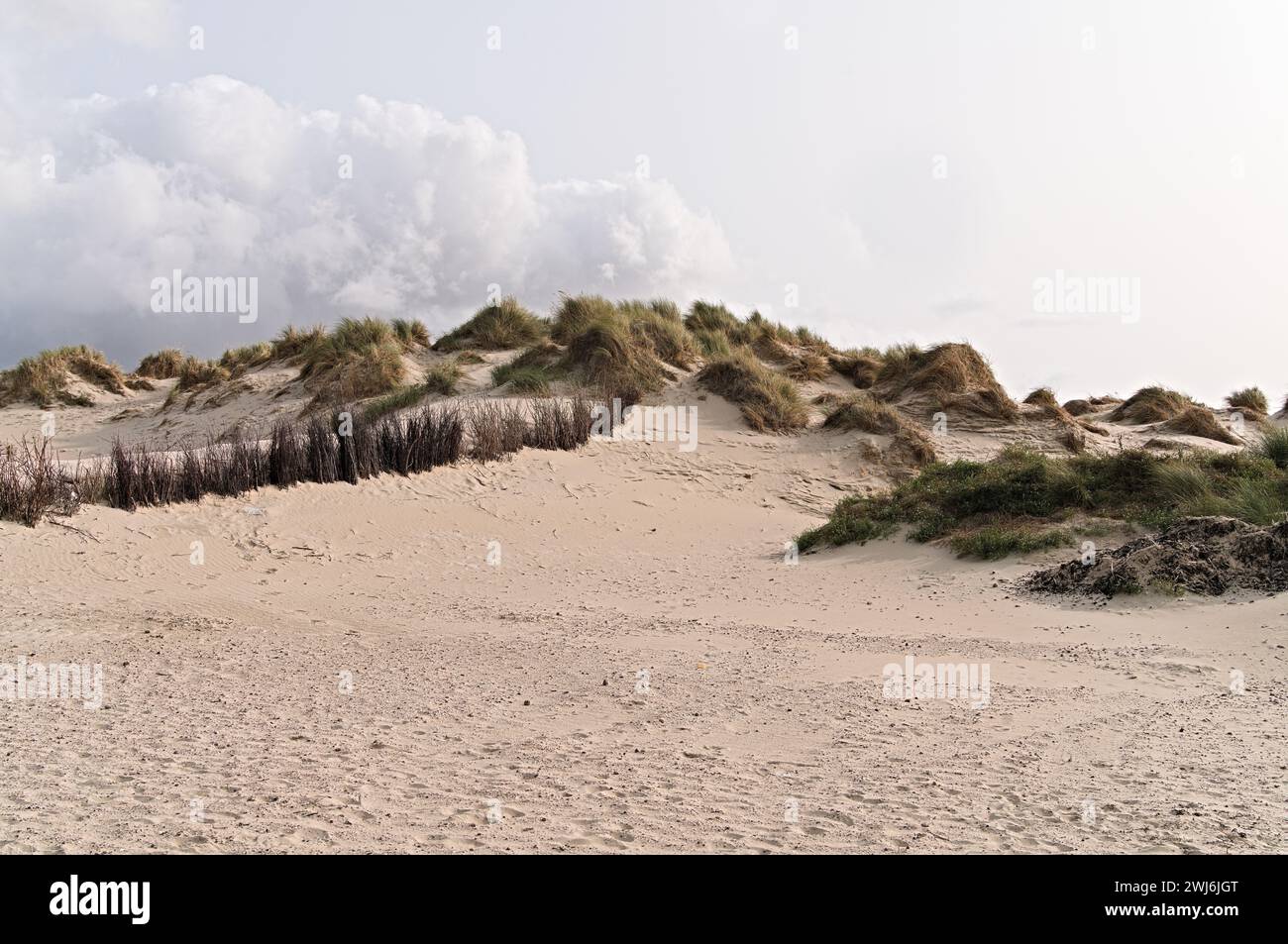 Dunescape hi-res stock photography and images - Alamy