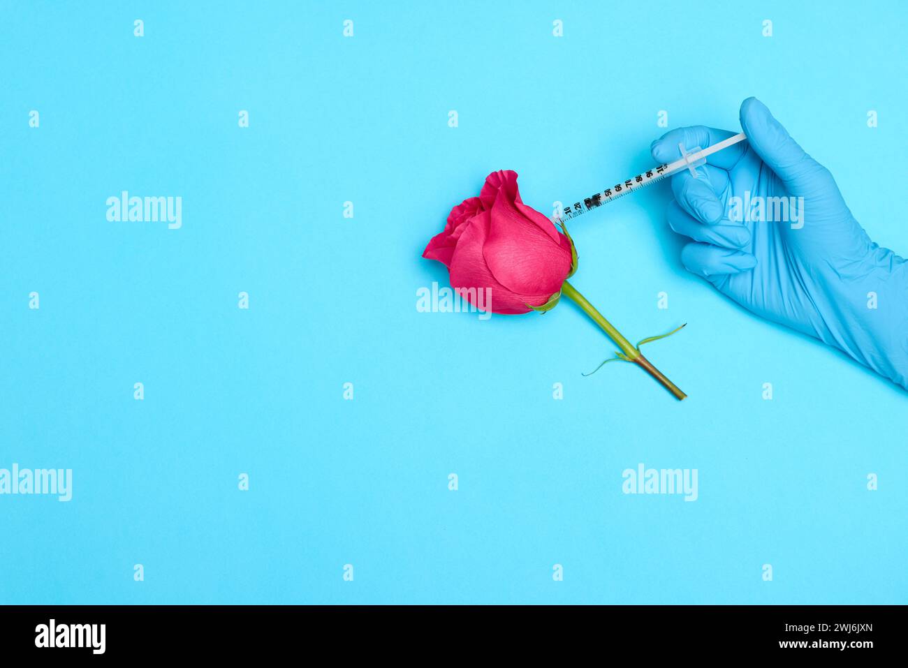 Doctor making injection to rose on light blue background, top view ...