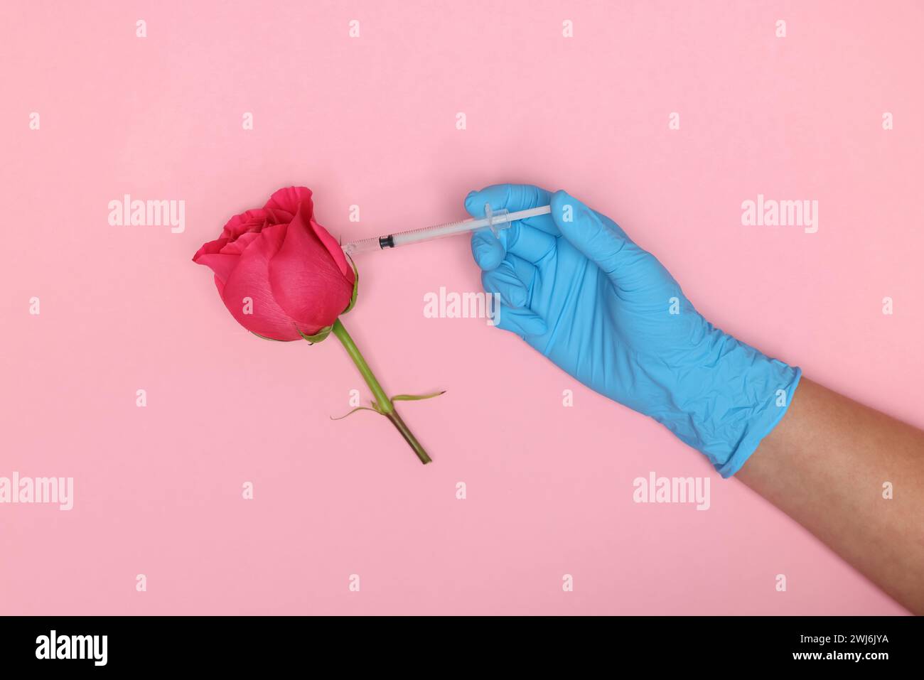 Doctor making injection to rose on pink background, top view Stock ...