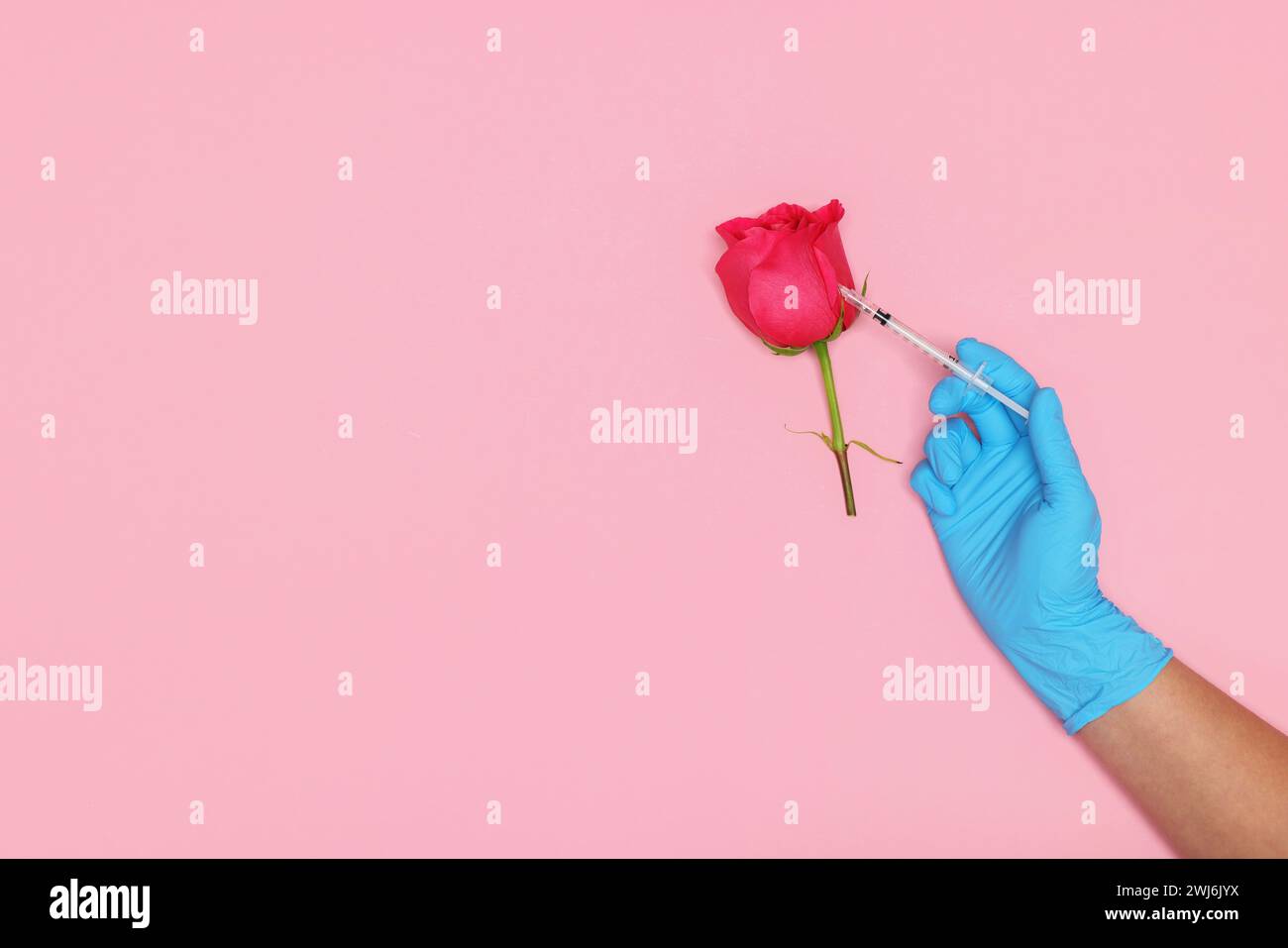 Doctor making injection to rose on pink background, top view. Space for ...