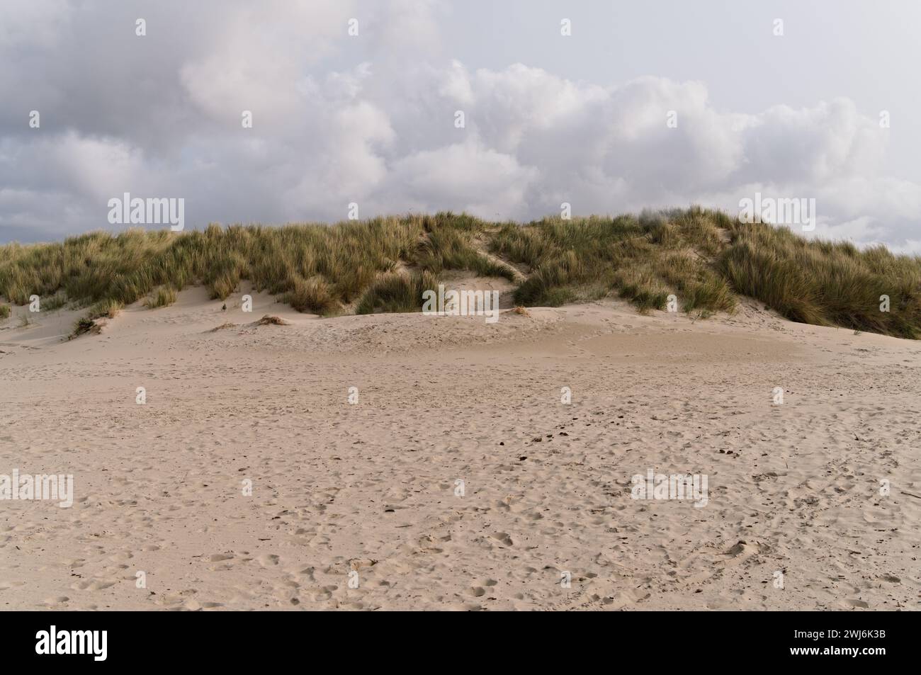 The beautiful dunescape of Borkum Stock Photo - Alamy