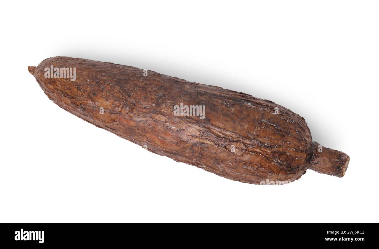 Whole cassava root isolated on white, top view Stock Photo - Alamy