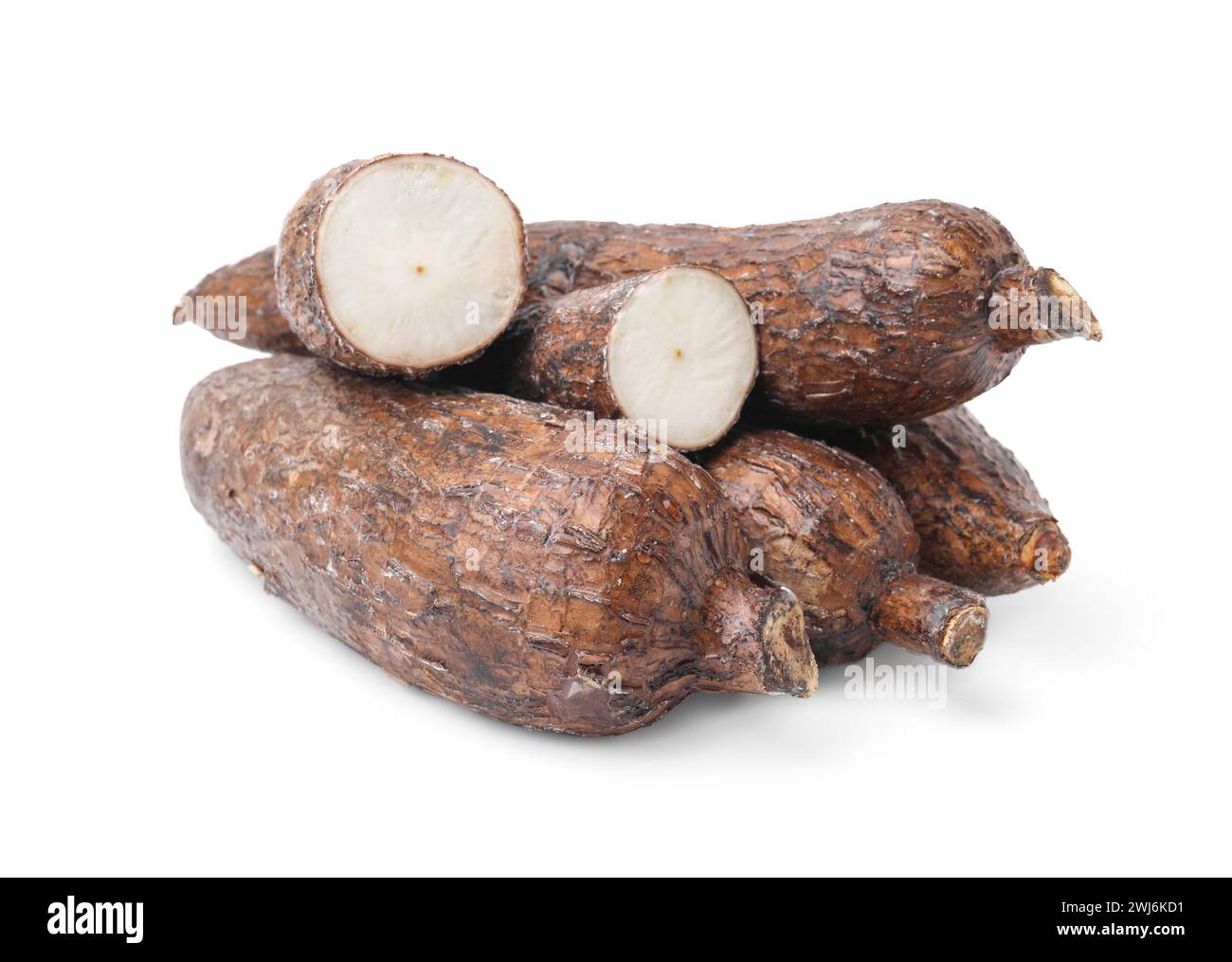 Cassava crop Cut Out Stock Images & Pictures - Alamy