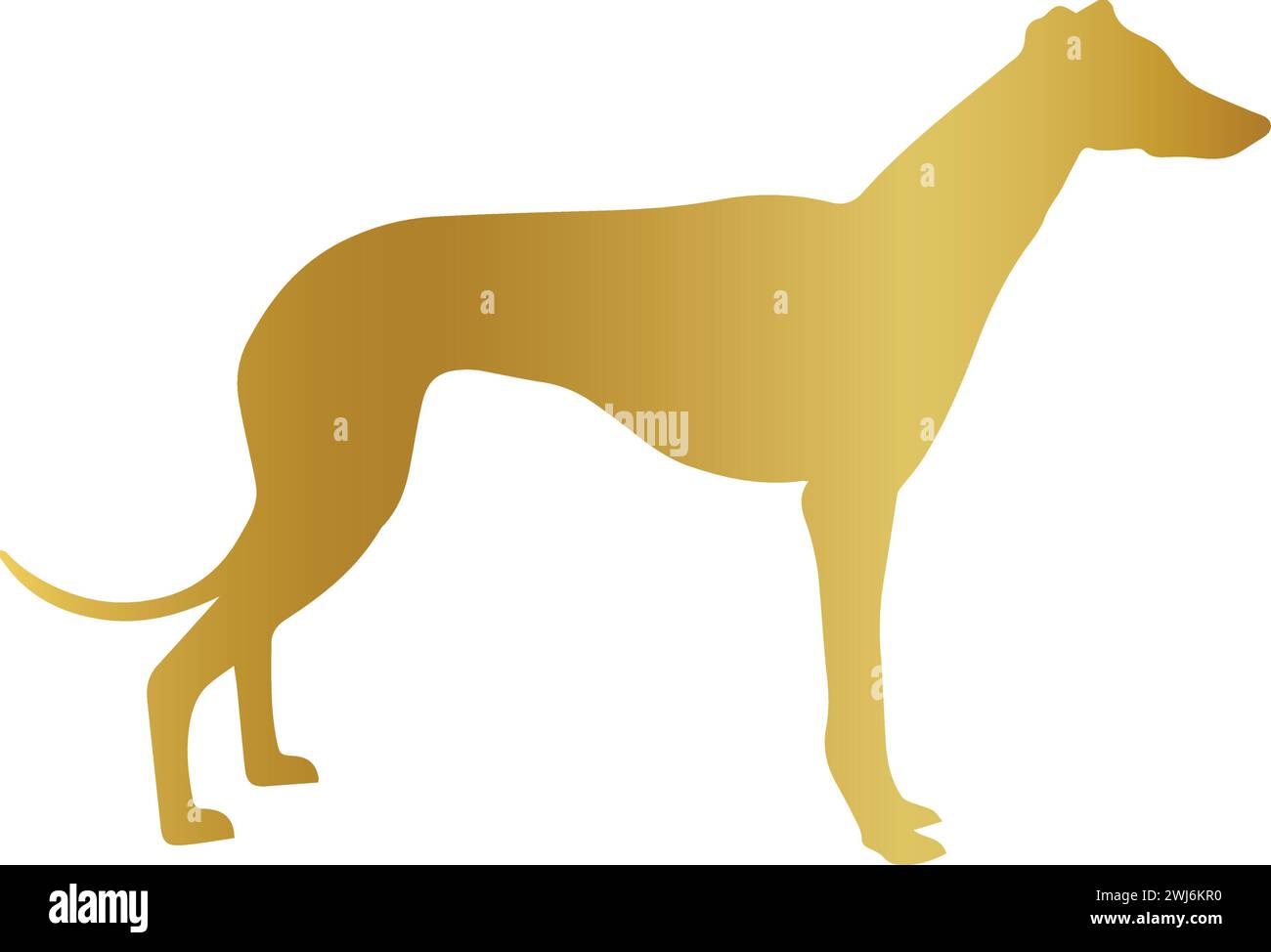 Funny golden retriever Stock Vector Images - Alamy
