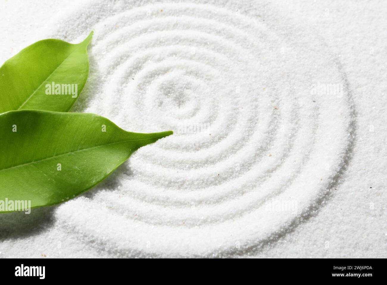 Zen rock garden. Circle pattern and green leaves on white sand, closeup ...