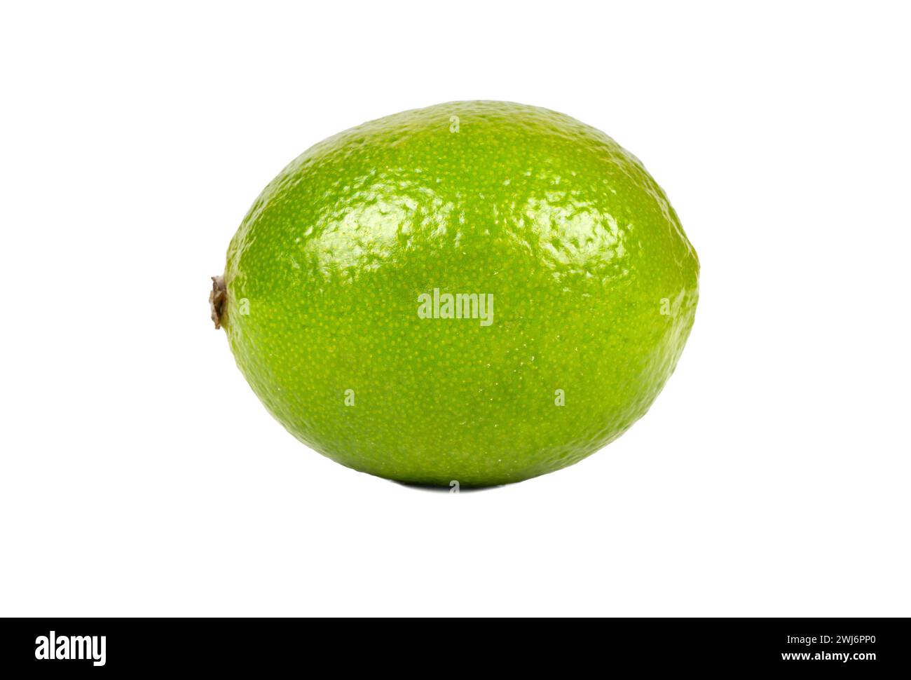 One small fresh lime isolated on white background Stock Photo - Alamy