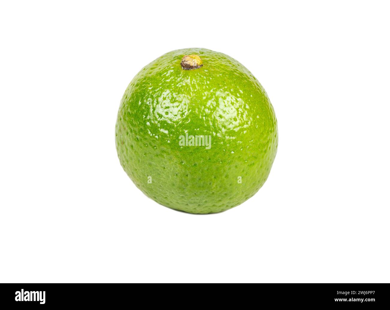 One small fresh lime isolated on white background Stock Photo - Alamy