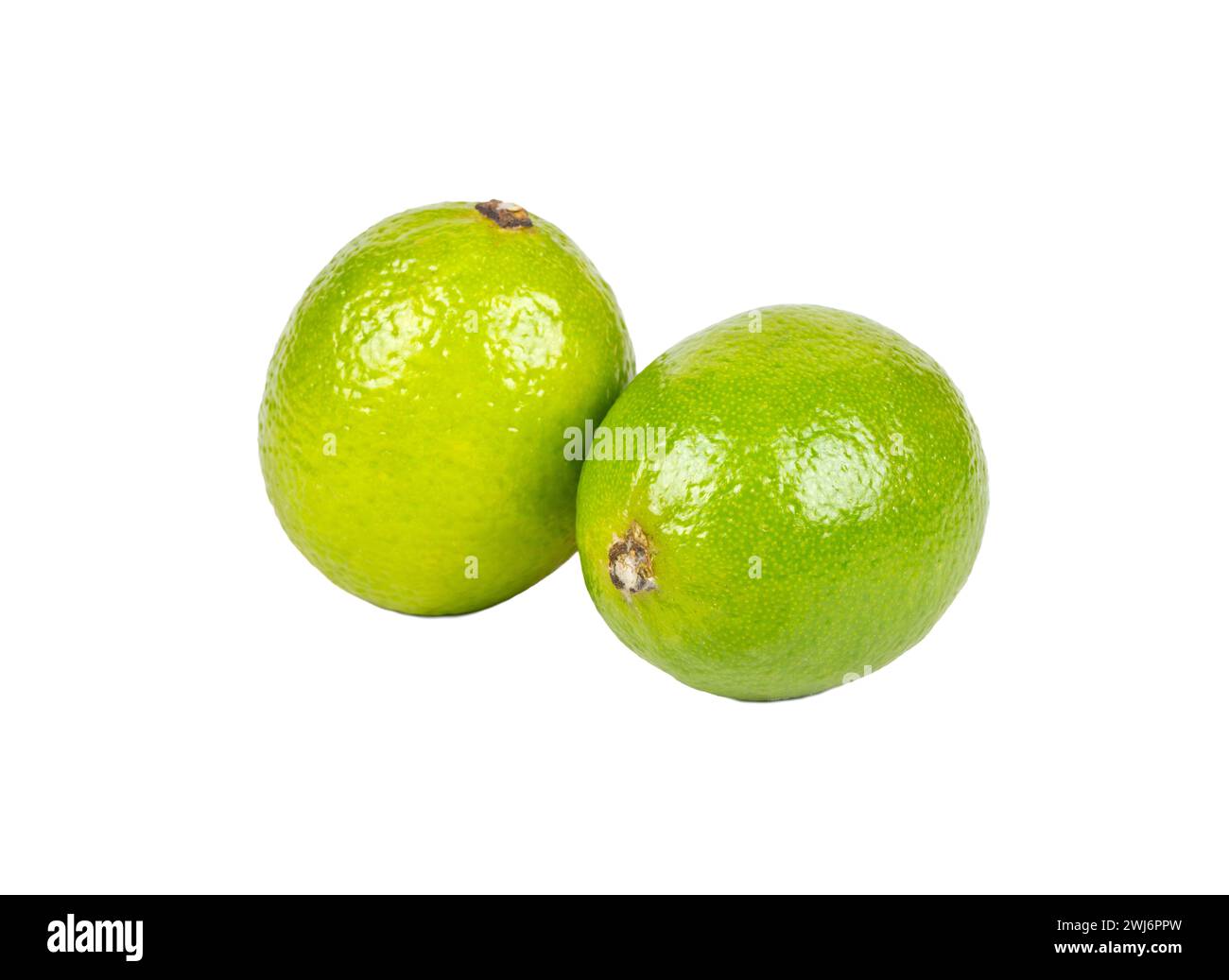 Two juicy fresh limes isolated on white background Stock Photo - Alamy