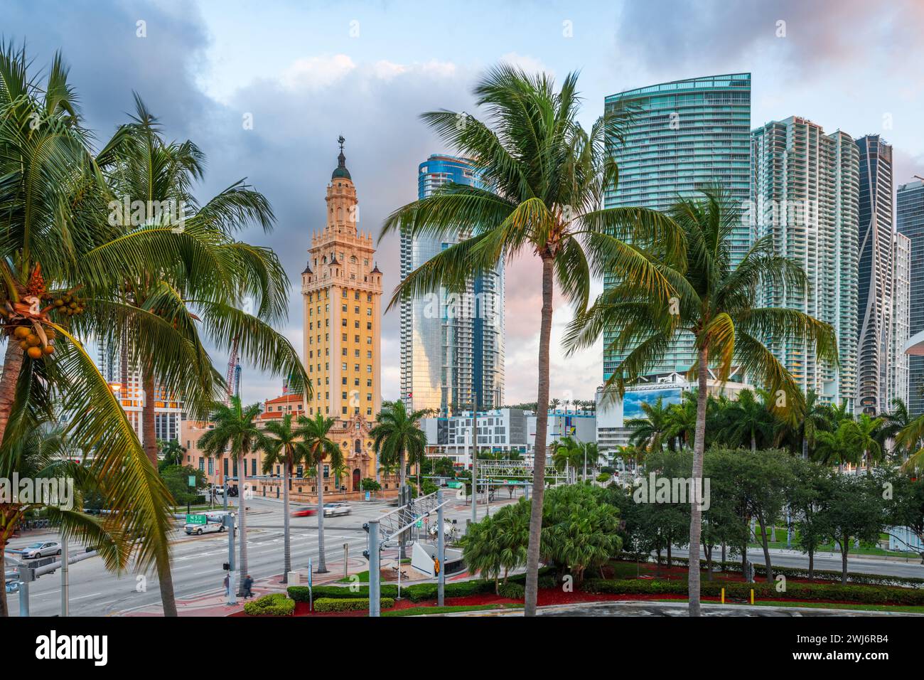 Miami, Florida, USA cityscape in the morning through palm trees Stock ...