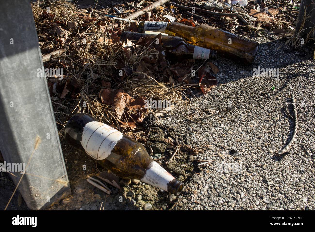 Beers abandoned on the street hi-res stock photography and images - Alamy