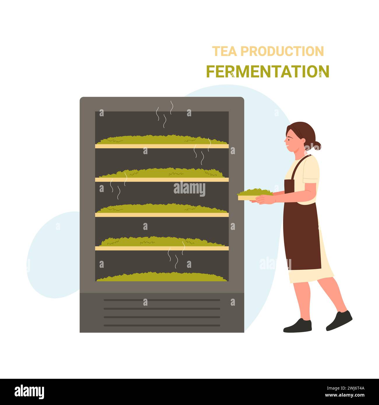 Tea leaves fermentation process. Industrial tea production, natural tea ...