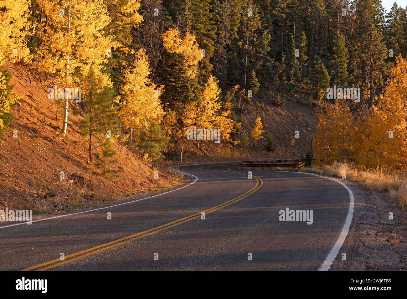 FALL FOLIAGE IN THE SANGRE DE CRISTO MOUNTAINS, SANTA FE, NM, USA Stock ...