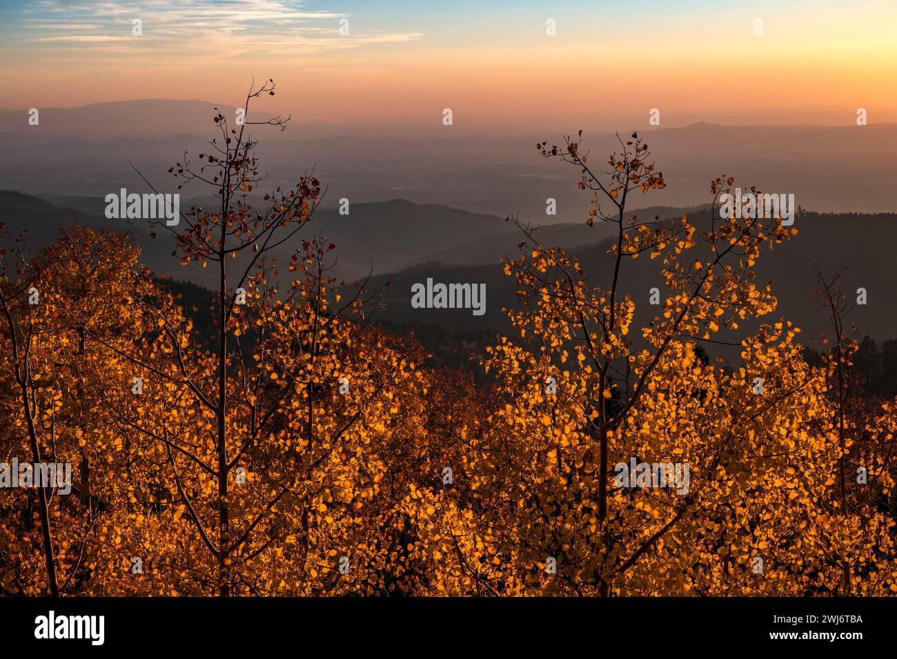 FALL FOLIAGE IN THE SANGRE DE CRISTO MOUNTAINS, SANTA FE, NM ,USA Stock ...