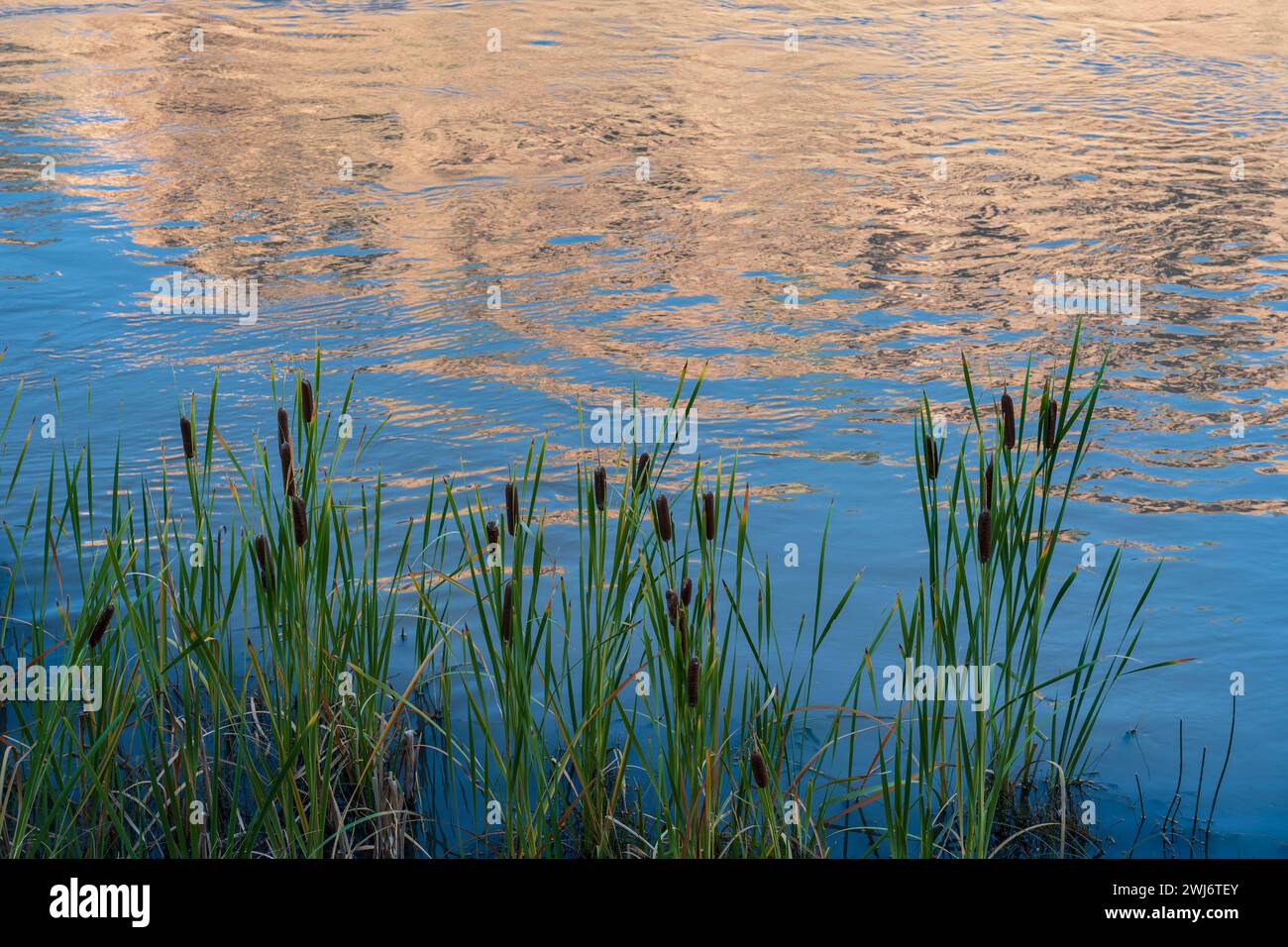Chama river in new mexico hi-res stock photography and images - Alamy