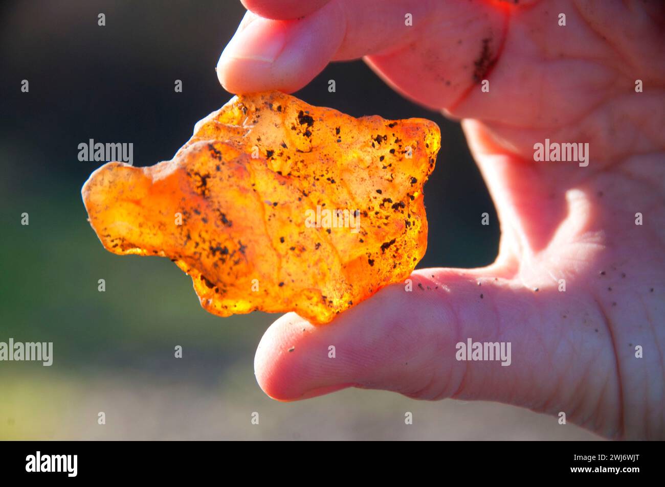 Agate from Willamette River, Willamette Mission State Park, Oregon ...
