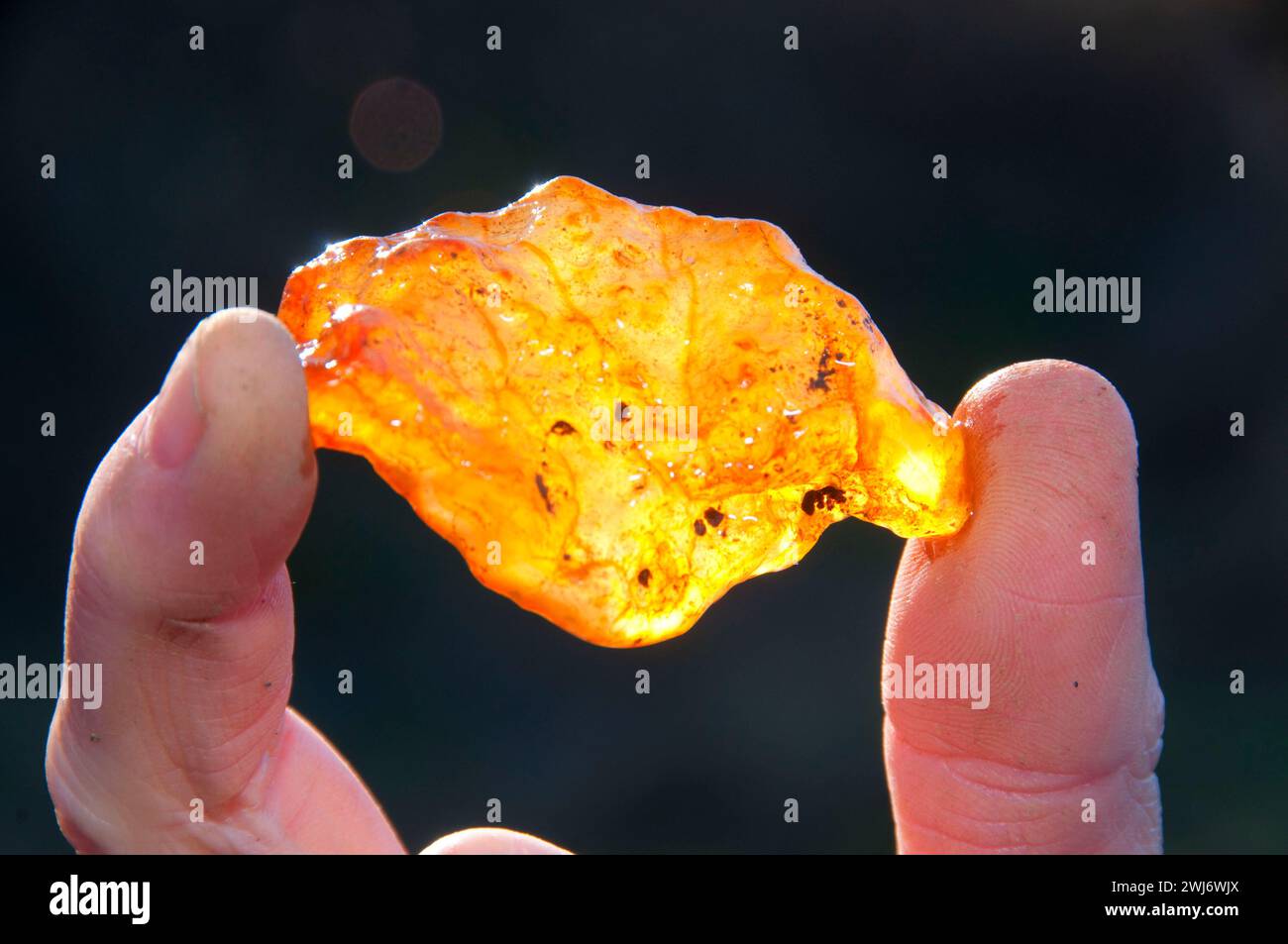 Agate from Willamette River, Willamette Mission State Park, Oregon ...