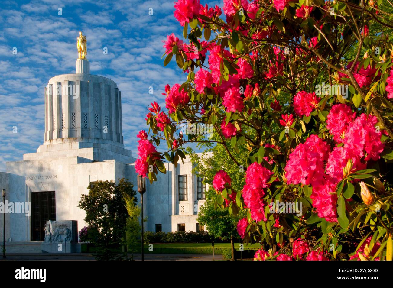 Oregon Capitol with rhododendron, State Capitol State Park, Salem ...