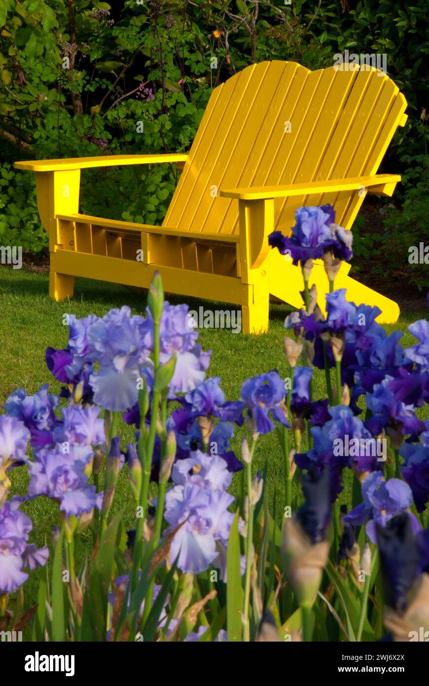 Display garden bench, Schreiners Iris Gardens, Keizer, Oregon Stock ...