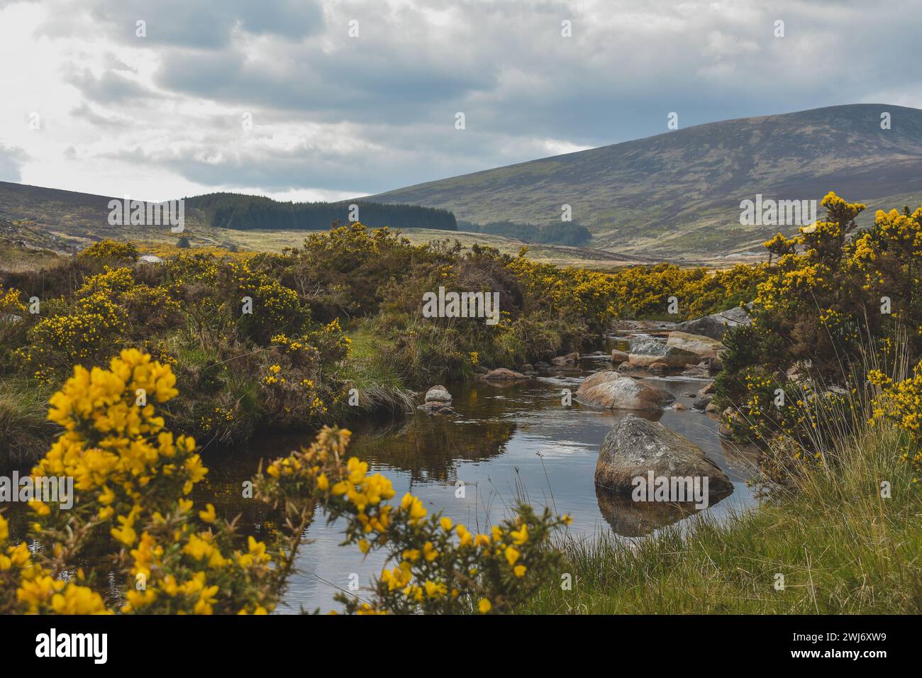 Irish Landscapes including hills, flowers, and ponds Stock Photo - Alamy
