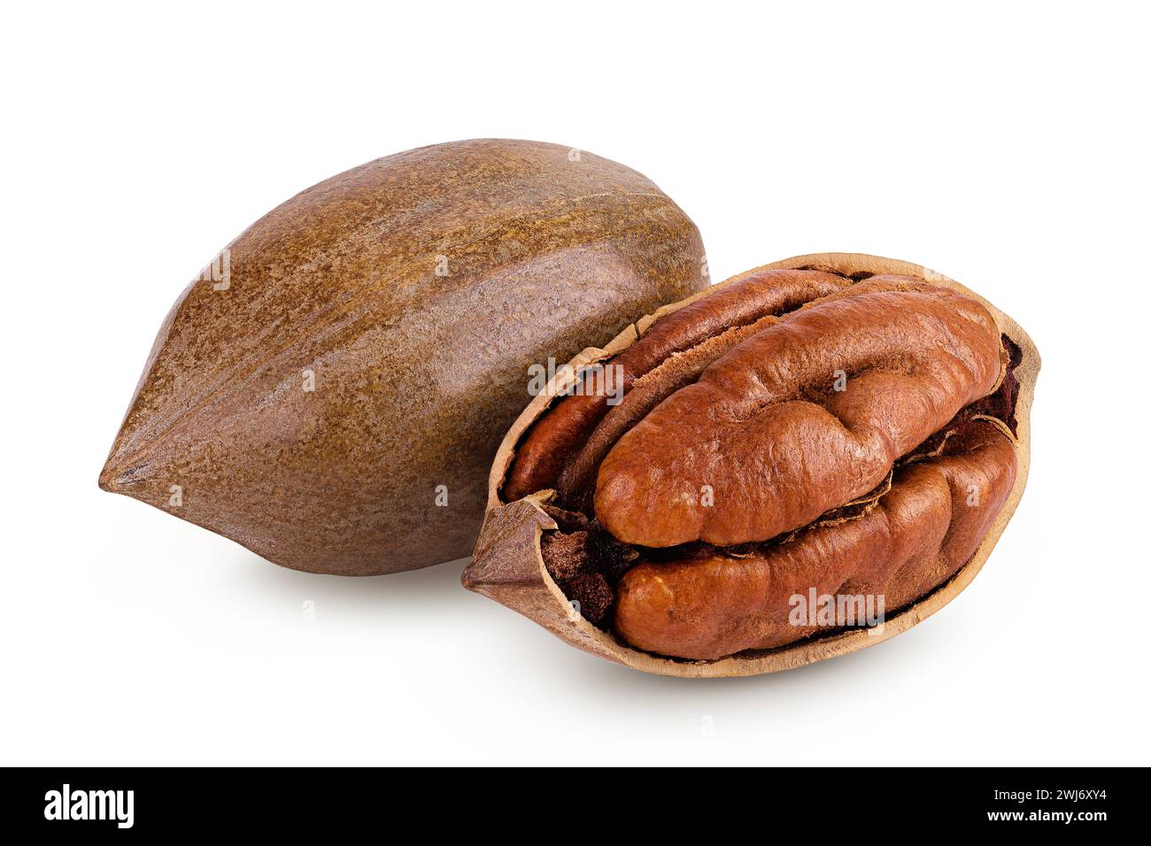 pecan nut isolated on white background with full depth of field Stock ...