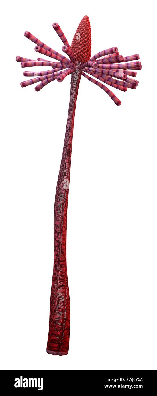 3D rendering of a red blooming fantasy alien plant isolated on white ...