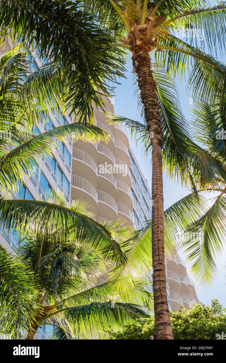 Beautiful tropical scene looking up at modern white building framed by ...