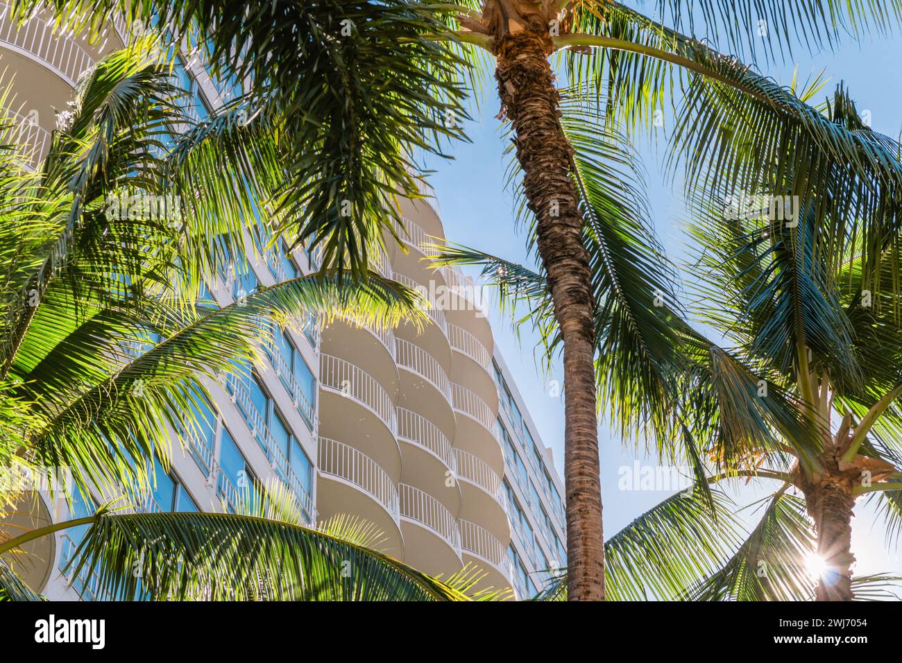Beautiful tropical scene looking up at modern white building framed by ...