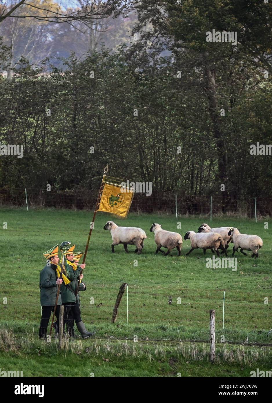 Karnevalisten ziehen mit Fahnen an einer Wiese mit Schafen vorbei Kleve ...