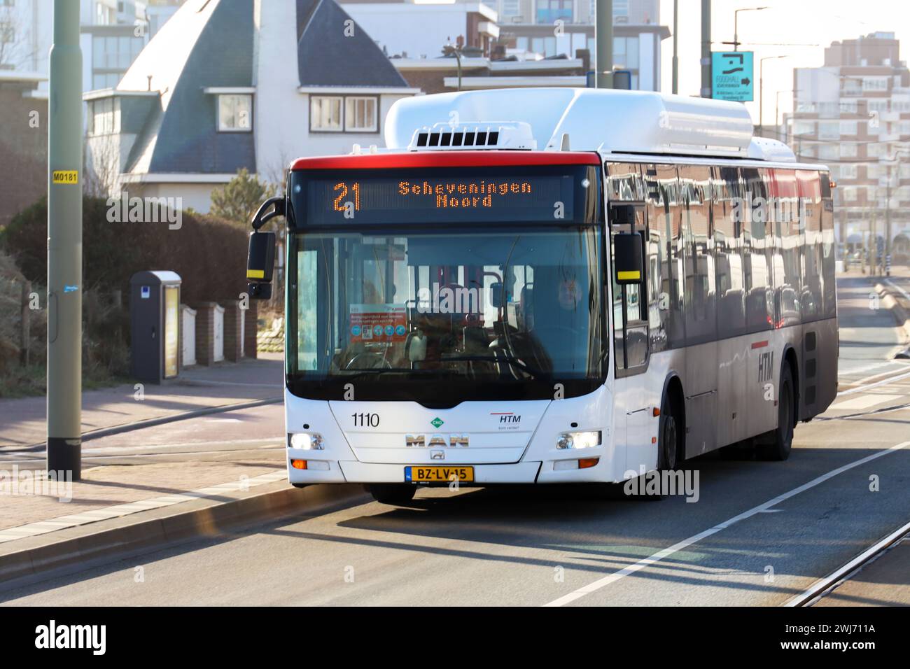 HTM's white city buses for city transport in The Hague in the ...