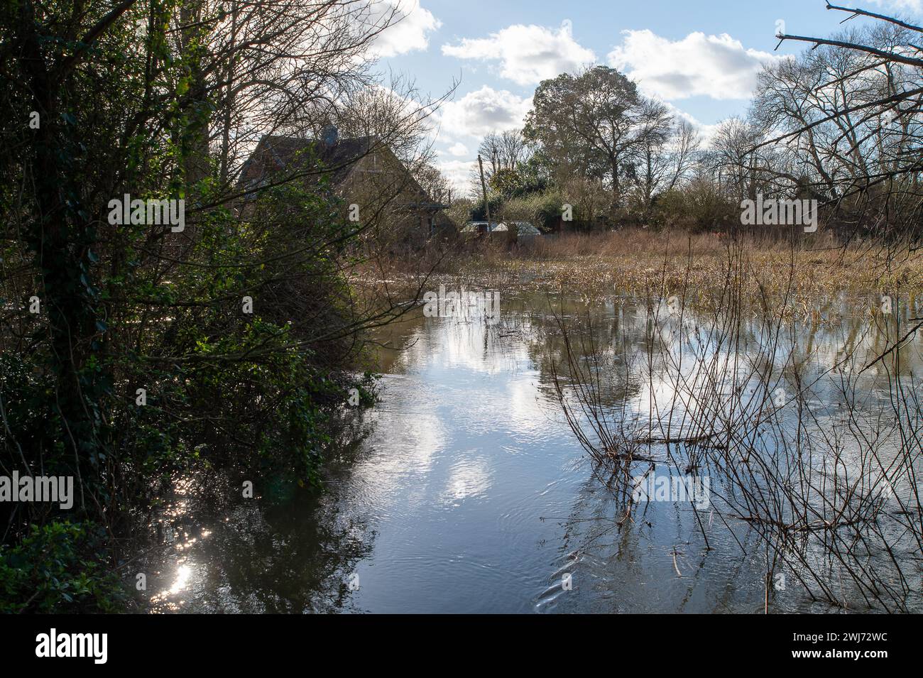 Hurley, Berkshire, UK. 12th February, 2024. A flooded garden next to ...