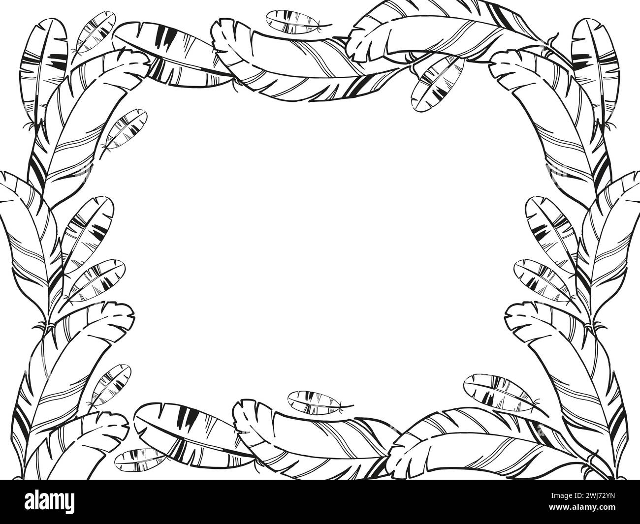 vector frame of hand drawn bird feather with spots, inked monochrome ...