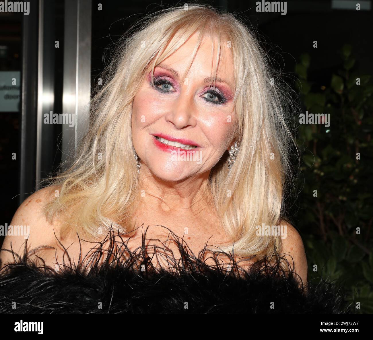 Carol Harrison attends TV Choice Awards at London Hilton Hotel. NO TV ...