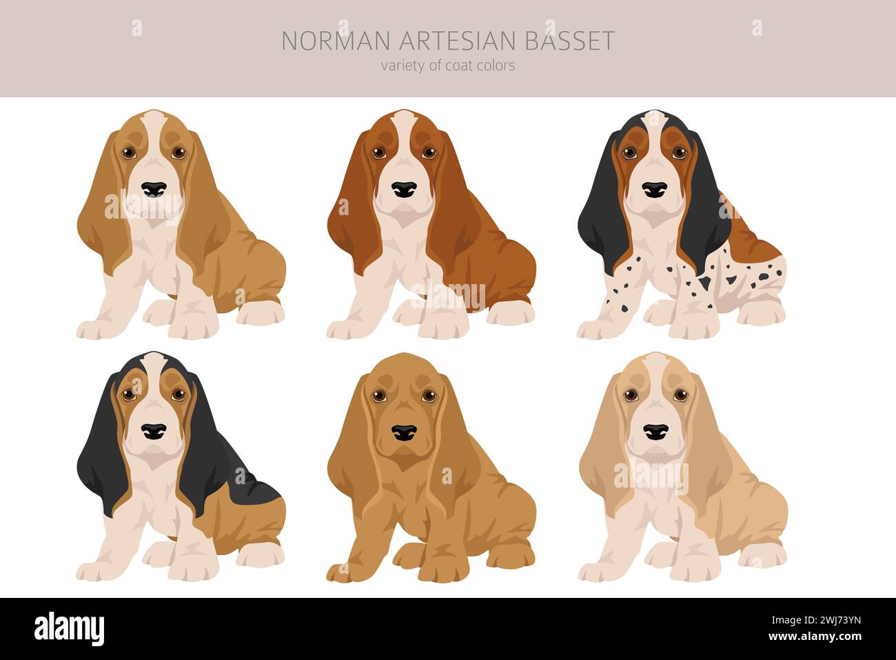 Normand Stock Vector Images - Alamy