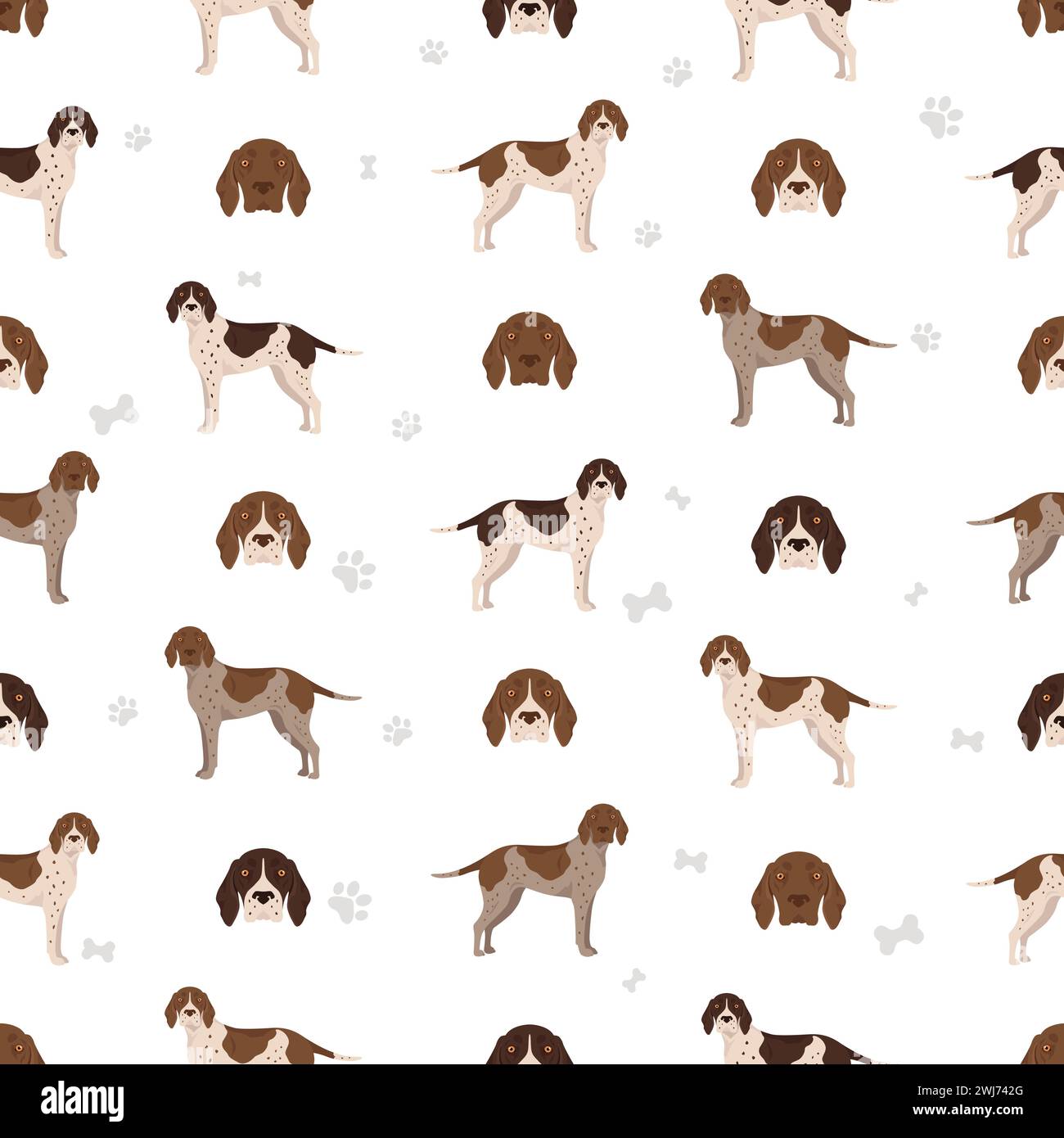 Old Danish pointer seamless pattern. Different poses, coat colors set ...