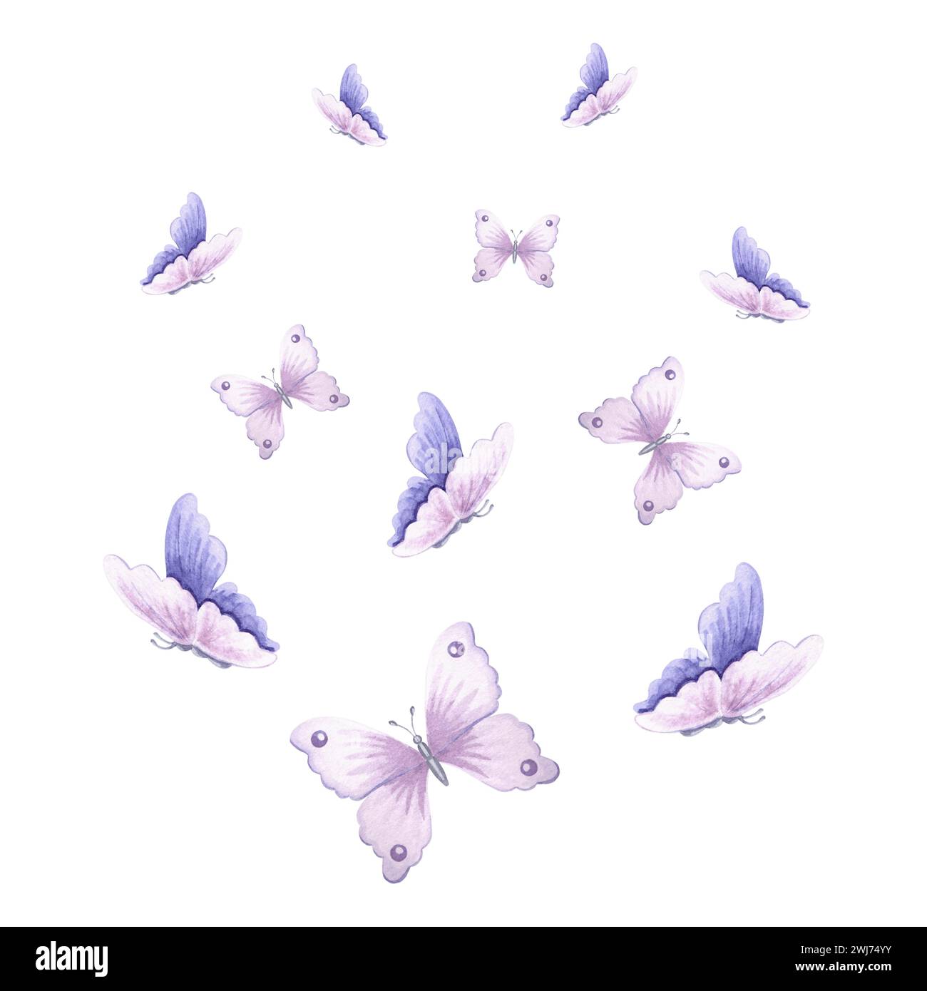 Watercolor composition of flying butterflies delicate violet color ...