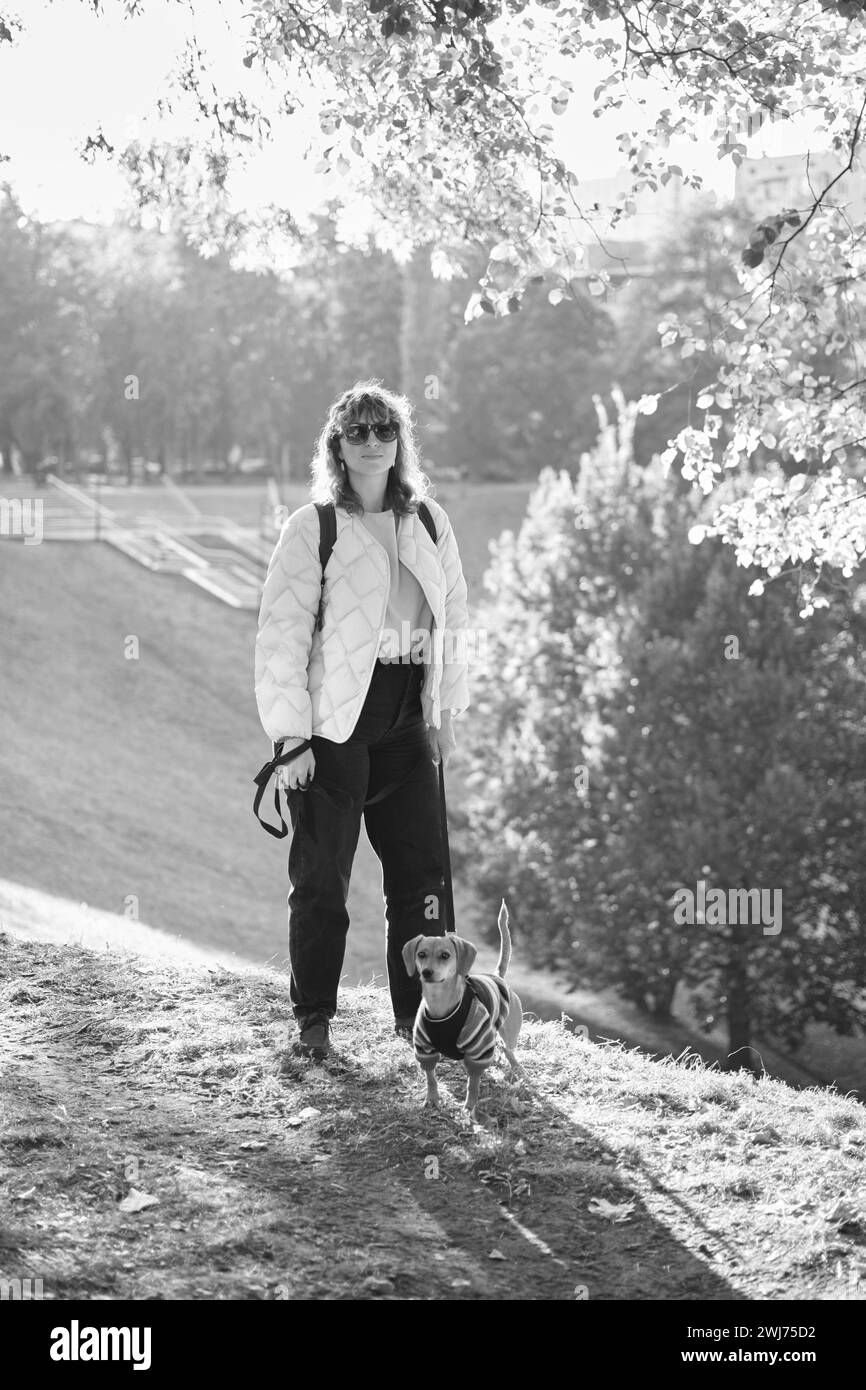 Owner walking with dog together in park outdoors, summer vacation ...