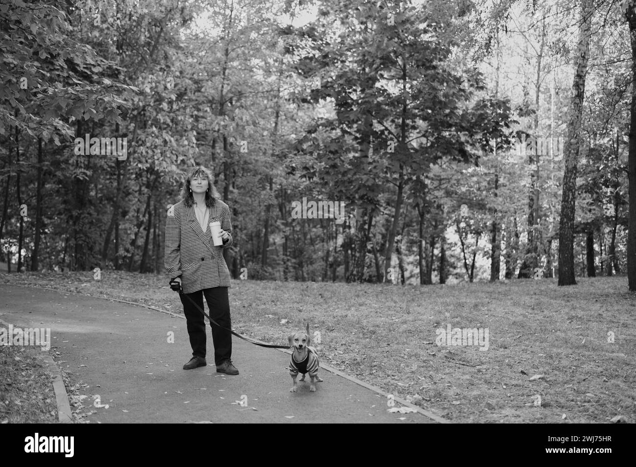 Owner walking with dog together in park outdoors, summer vacation ...