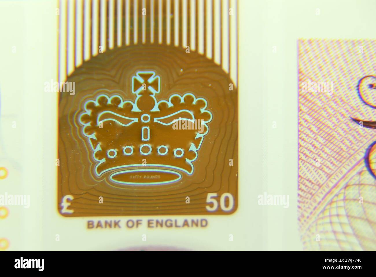 Macro image of 50 Pound sterling banknote for design purpose close up ...