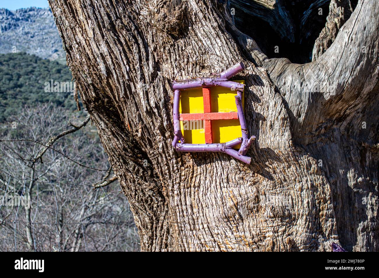 PARAUTA, SPAIN - JANUARY 20, 2024: The Enchanted Forest of Parauta in ...