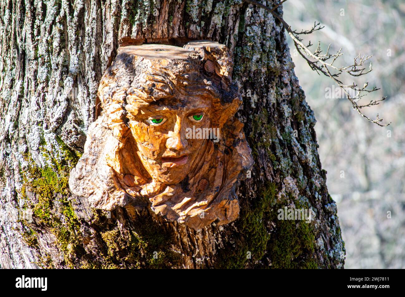 PARAUTA, SPAIN - JANUARY 20, 2024: The Enchanted Forest of Parauta in ...