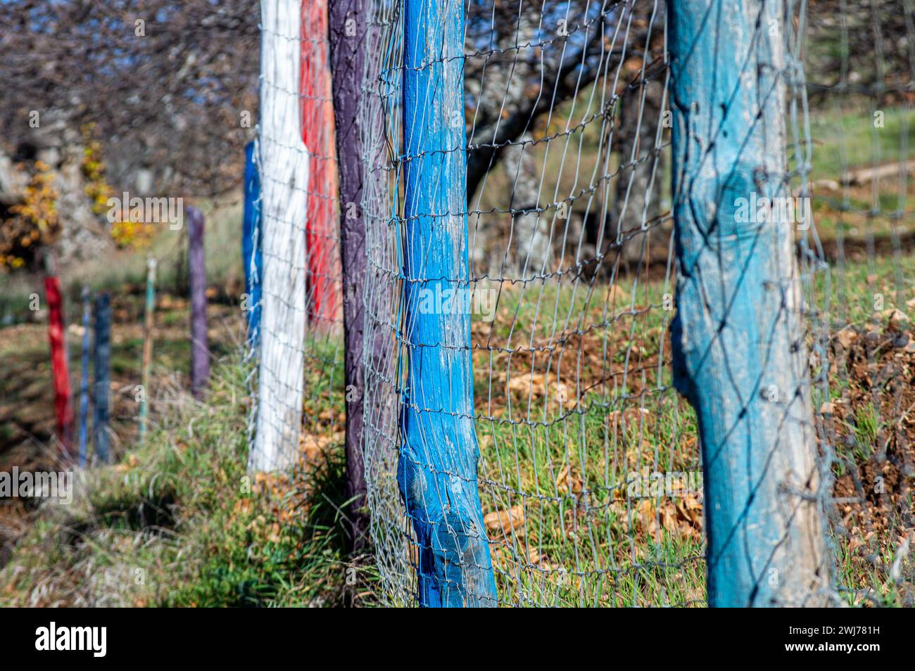 Colorful fence in the countryside Stock Photo - Alamy