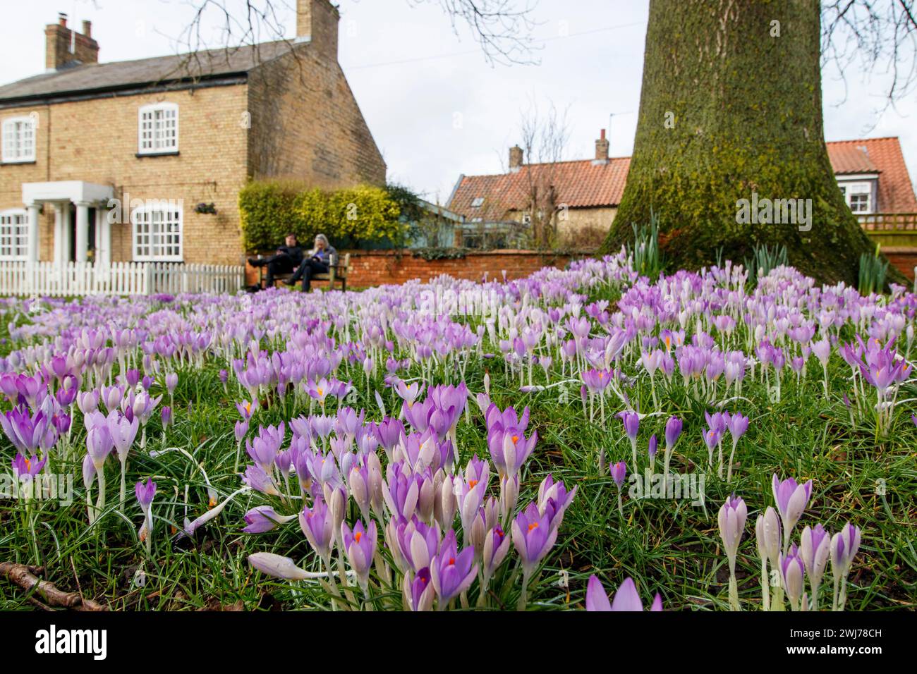 Nettleham village green hi-res stock photography and images - Alamy
